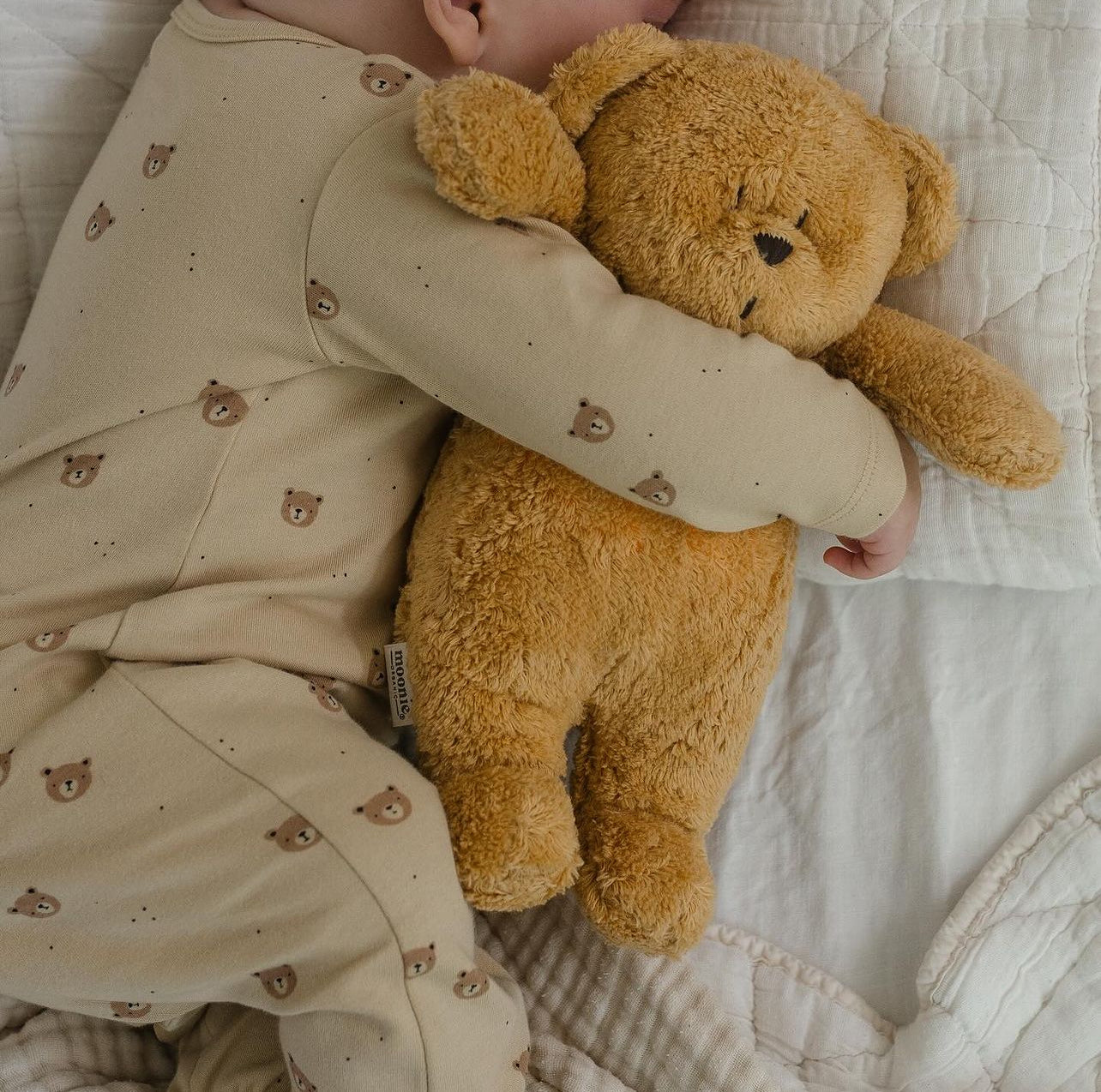 Dapper Mr Bear | NZ based online children's boutique